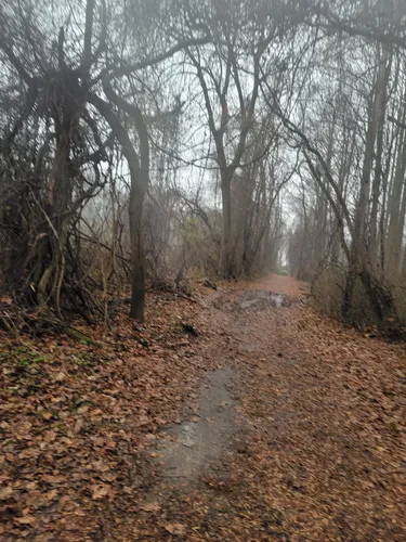 Best Hikes and Trails in Core Creek County Park | AllTrails