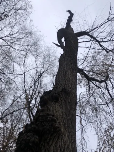 Best Hikes and Trails in Mound Springs Park | AllTrails