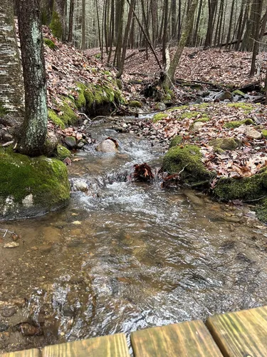 Best Hikes and Trails in Upper Bantam River Preserve | AllTrails