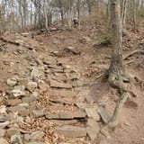 Thousand Steps, Pennsylvania - 1,202 Reviews, Map | AllTrails