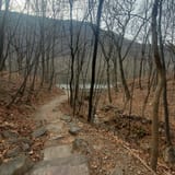 Thousand Steps, Pennsylvania - 1,202 Reviews, Map | AllTrails