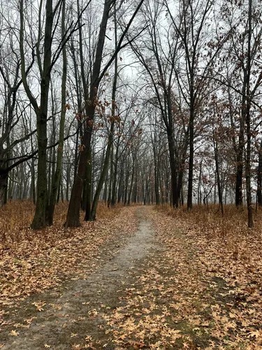 Best Hikes and Trails in Blackwell Forest Preserve | AllTrails