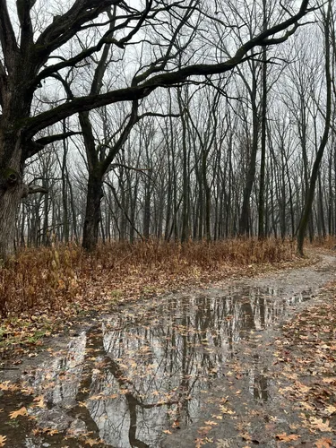 Best Hikes and Trails in Blackwell Forest Preserve | AllTrails