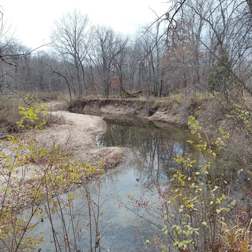 Best Hikes and Trails in Grindstone Nature Area | AllTrails