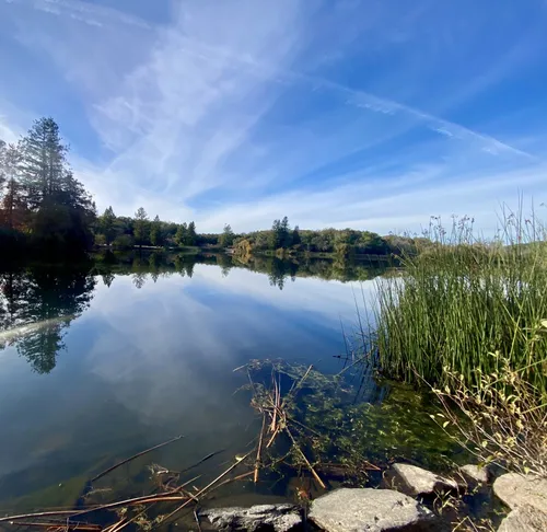 Best Hikes and Trails in Howarth Memorial Park | AllTrails