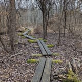 Liberty Loop Trail, New York - 416 Reviews, Map | AllTrails