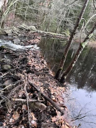 Best Hikes and Trails in Ware River Watershed | AllTrails