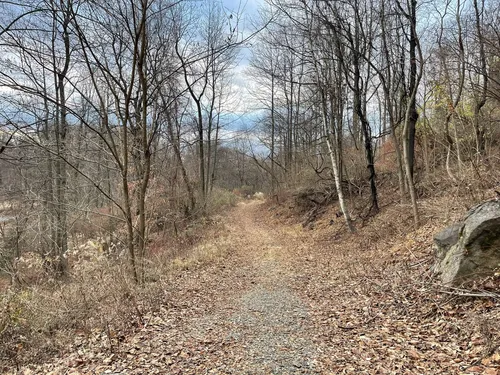 Najlepsze wycieczki i szlaki w William Penn State Forest | AllTrails