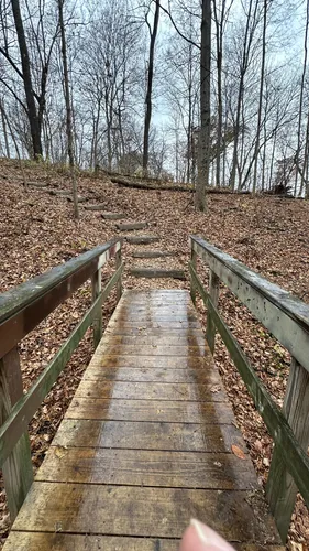 10 Best Trails and Hikes in Cincinnati | AllTrails