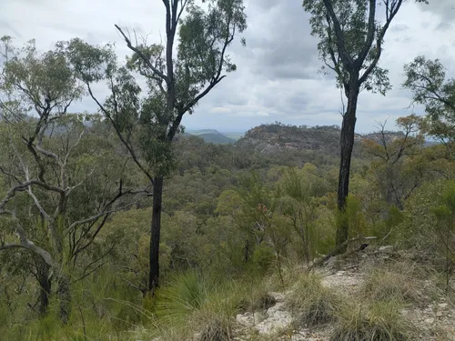 Best Hikes and Trails in Isla Gorge National Park | AllTrails