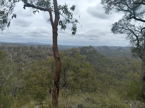 Best Hikes and Trails in Isla Gorge National Park | AllTrails
