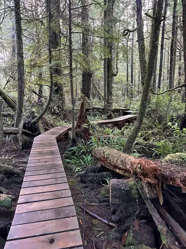 Best River Trails in Pacific Rim National Park Reserve | AllTrails