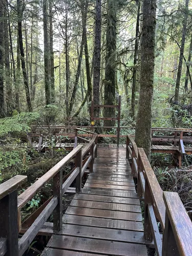 Best River Trails in Pacific Rim National Park Reserve | AllTrails