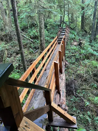 Best River Trails in Pacific Rim National Park Reserve | AllTrails