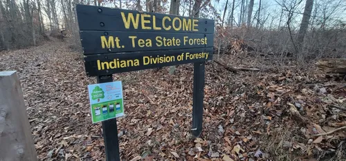 Best Hikes and Trails in Mountain Tea State Forest | AllTrails