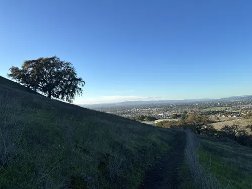 Best Hikes and Trails in Taylor Mountain Regional Park and Open Space ...