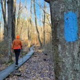 Boone Trail Loop, Pennsylvania - 954 Reviews, Map | AllTrails