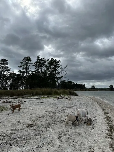 Best Beach Trails in Katikati | AllTrails