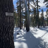 Five Lakes Trail, California - 2,877 Reviews, Map | AllTrails