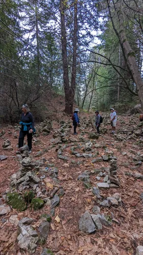 Best Walking Trails in Pogonip Open Space Preserve | AllTrails