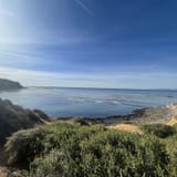 Bluff Cove to Lunada Bay Trail, California - 774 Reviews, Map | AllTrails