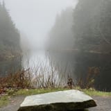 Stimpson Nature Preserve, Washington - 821 Reviews, Map | AllTrails