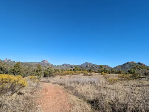 10 Best Hikes and Trails in Warrumbungle National Park | AllTrails