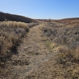 Rock Town Trail, Kansas - 368 Reviews, Map | AllTrails