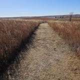 Rock Town Trail, Kansas - 368 Reviews, Map | AllTrails