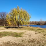 Two Rivers Park Trail, Arkansas - 738 Reviews, Map | AllTrails