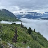 Slaughter Ridge Trail, Alaska - 825 Reviews, Map | AllTrails