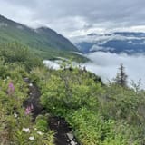 Slaughter Ridge Trail, Alaska - 825 Reviews, Map | AllTrails