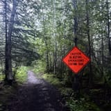 Slaughter Ridge Trail, Alaska - 825 Reviews, Map | AllTrails