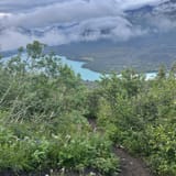 Slaughter Ridge Trail, Alaska - 825 Reviews, Map | AllTrails
