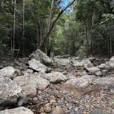 Flaxton Walkers Camp and Baxter Falls, Queensland, Australia - 319 ...