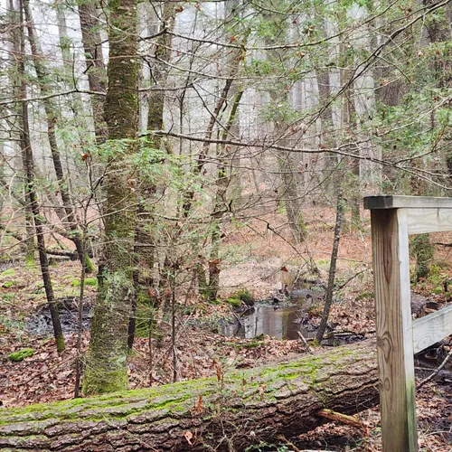 Best Hikes and Trails in Phillips Exeter Academy Woods Trail Network ...