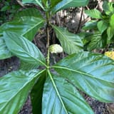 Magens Bay Beach Trail, Saint Thomas, US Virgin Islands - 349 Reviews ...