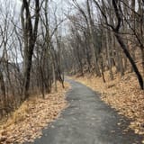 Back Mountain Trail, Pennsylvania - 401 Reviews, Map | AllTrails