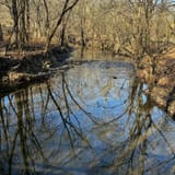 Cherokee Park Loop, Kentucky - 1,610 Reviews, Map | AllTrails