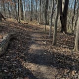 Cherokee Park Loop, Kentucky - 1,699 Reviews, Map | AllTrails