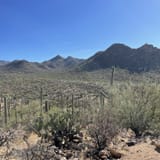 Valley View Overlook Trail, Arizona - 1,270 Reviews, Map | AllTrails
