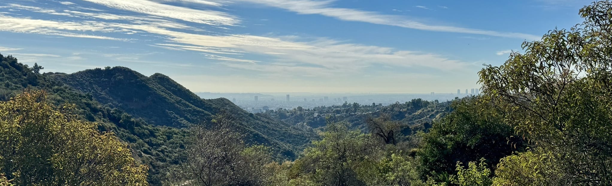 Hollyridge Trail to Hollywood Sign Viewpoint, California - 4,878 ...