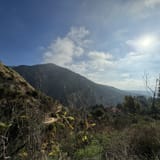 Altadena Crest Trail, California - 588 Reviews, Map | AllTrails