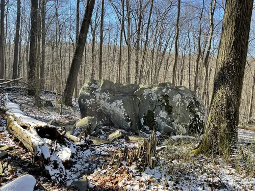 Best Hikes and Trails in Linn Run State Park | AllTrails