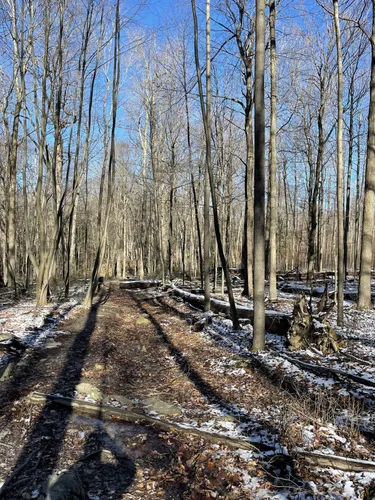 Best Hikes and Trails in Linn Run State Park | AllTrails