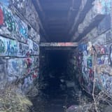 Edgecliff Loop, New York - 327 Reviews, Map | AllTrails