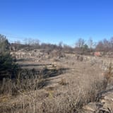 Edgecliff Loop, New York - 327 Reviews, Map | AllTrails