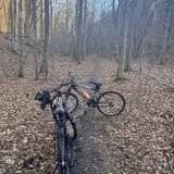 Edgecliff Loop, New York - 327 Reviews, Map | AllTrails