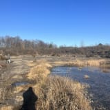 Edgecliff Loop, New York - 327 Reviews, Map | AllTrails