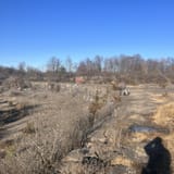 Edgecliff Loop, New York - 327 Reviews, Map | AllTrails